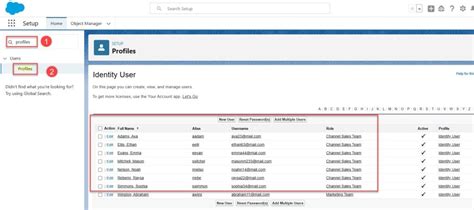 Import Users Using Data Loader In Salesforce