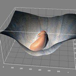 Figure XYZ Image Orientation And Horizontal View Download Scientific Diagram