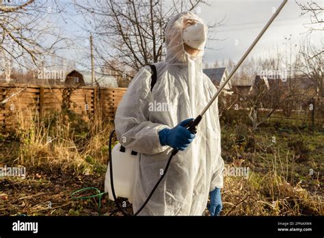 Using Chemicals In The Garden Orchard Gardener Applying An Insecticide