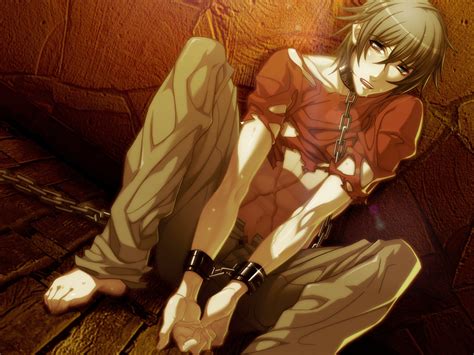 Akira Togainu No Chi Wallpaper Fanpop