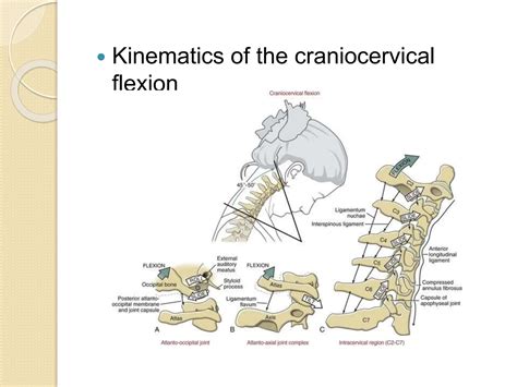 Cervical Spine Pptx