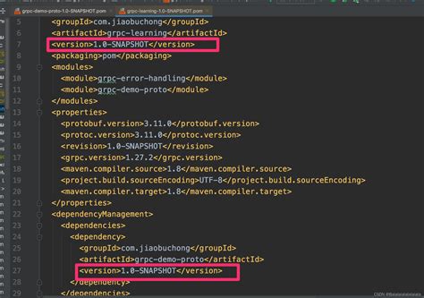 Flatten Maven Plugin 的使用 Csdn博客
