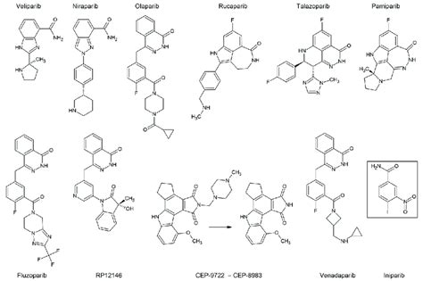 Structural Formulae Of PARP Inhibitors Upper Row PARP Inhibitors