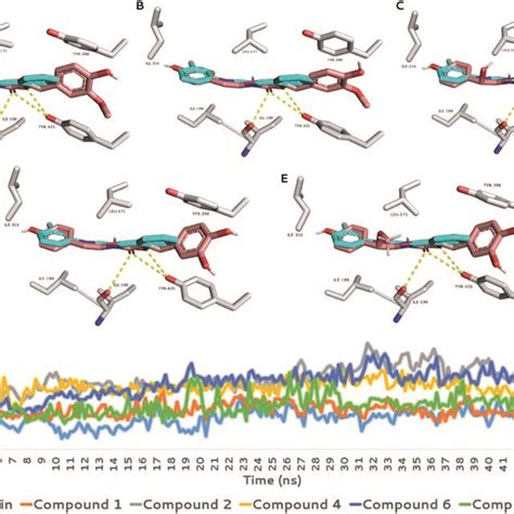 A E Binding Modes Of The Structures Of Compounds 1 2 4 6 And 7