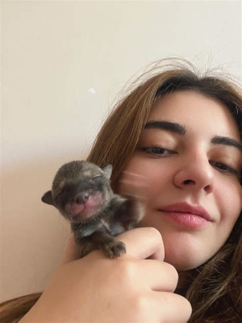 Taso გუშინს მერე იმდენი ადამიანი მწერს რომ რატომ ვზრდი ტურებს რომ ისინი ძალიან მავნებლები