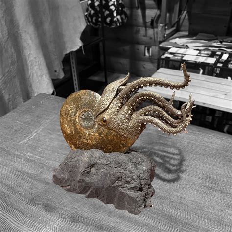 Ammonite Fossil Squid Gemfossils Ammonite Fossil Squid Gemfossils
