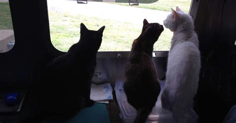 Tux Sprite And Slick