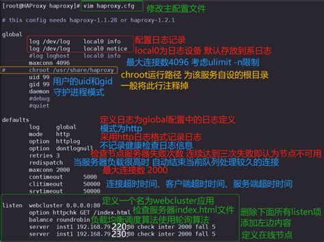 Haproxy集群与常见的web集群软件调度器对比webproxy软件 Csdn博客 Haproxy集群与常见的web集群软件调度器对比webproxy软件 Csdn博客