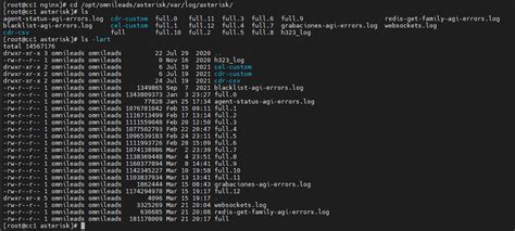 Problema 500 Omnileads Community