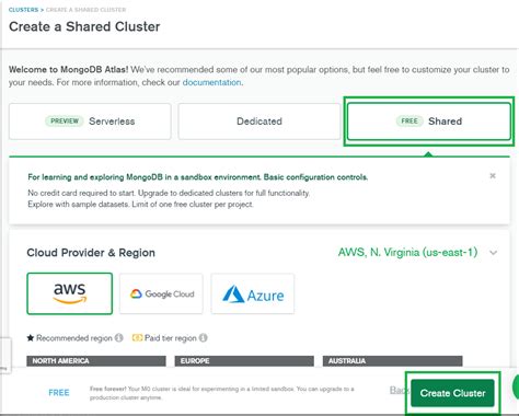 mongodb atlas database — nightscout documentation documentation