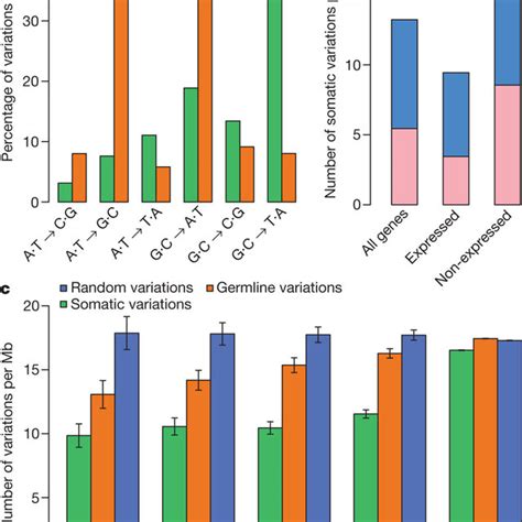 Somatic Single Nucleotide Mutation Trends And Patterns A Somatic Download Scientific Diagram