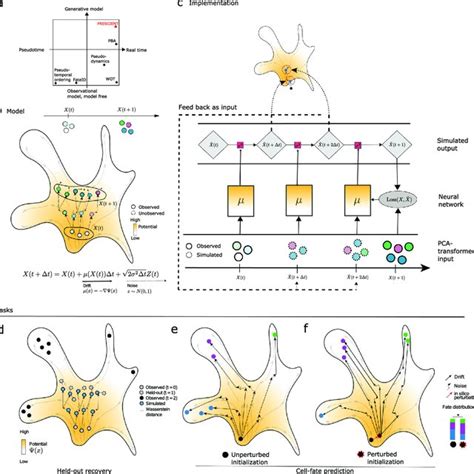 A Generative Model Of Cellular Differentiation A Existing Single Cell Download Scientific