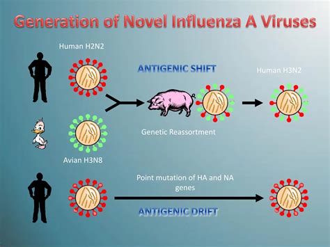 Lec 2 Intro Viruses Pdf