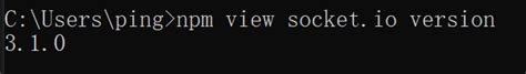 Vue Socket io跨域问题 has been blocked by CORS policy No Access Control Allow Origin Mentalflow解决