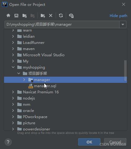 idea如何导入vue springboot的项目 CSDN博客
