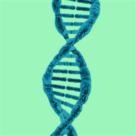 Explore Technician Roles Technicians