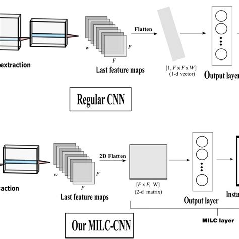 The Difference Between The Regular Convolutional Neural Network Cnn