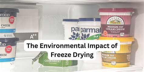 The Environmental Impact Of Freeze Drying Freeze Dryer