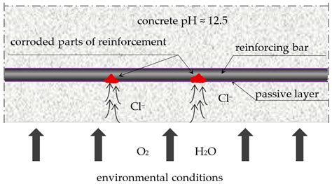 Reinforcement Corrosion Testing In Concrete And Fiber Reinforced Concrete Specimens Exposed To