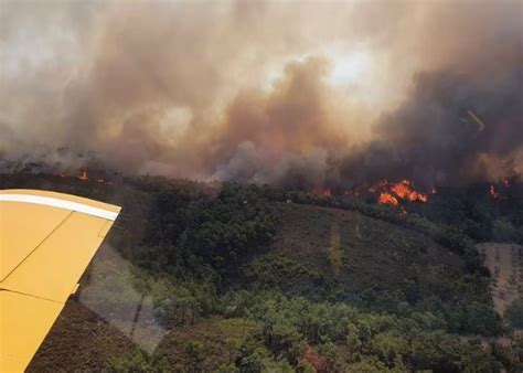 საბერძნეთი მეშვიდე დღეა ტყის ხანძრებს ებრძვის ევაკუირებულია 20 000 მდე ადამიანი 1tv