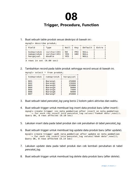 08 Implementasi Trigger Procedure Function Pdf