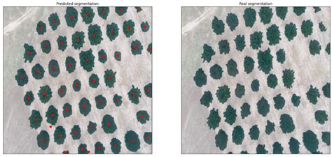 Tree Canopy Detection Farmb