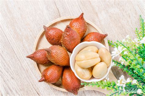 Qu M Y Th I Chua Ng T V Nh Ng C Ng D Ng B T Ng