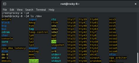 A Complete Guide To Understanding Linux File System Tree Cherry Servers