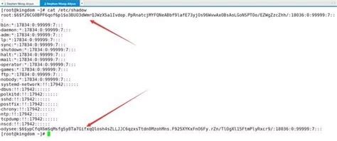etc passwd文件 各个字段详解 etc passwd文件的字段含义 csdn博客