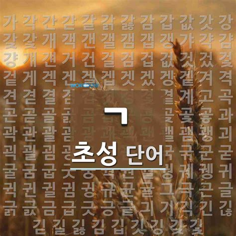 초성 ㄱ 으 로 이루어진 단어 141개