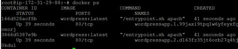 Docker 1121 Swarm Mode And Persistent Storage With Dellemc Rexray On