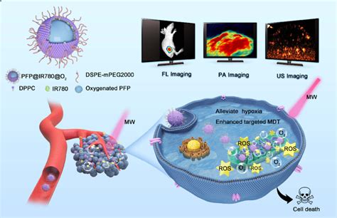 Schematic Illustration Of The Multi Modal Imaging Guided Mdt With