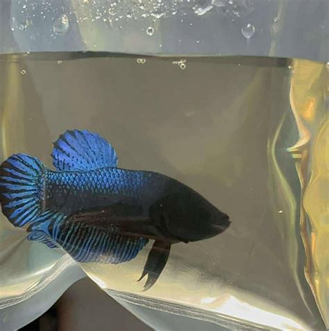 ស្រលាញ់ការរាប់អាន 🥰😍 តារាចម្រៀង សិល្បៈ កម្សាន្ត ព័ត៌មានថ្មីៗ សង្គម