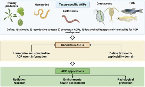 Workflow For Integrating Individual Taxon Or Species Group Specific