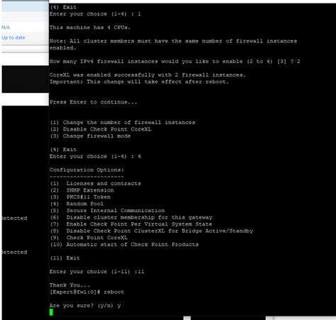 ClusterXL Issue On OpenServer After Upgrade To R81 Check Point CheckMates