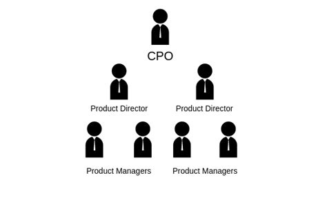 What Is A CPO Product Management Career Accelerator