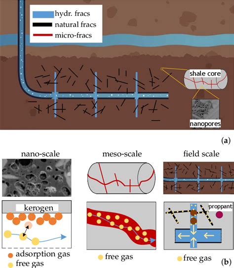 Figure 1 From An Open Source Code For Fluid Flow Simulations In