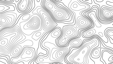 Abstract Topographic Map Background Abstract Topographic Map Background Imitation Of A