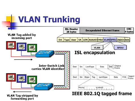 Ethernet Framing And Addressing Ppt Download