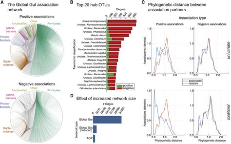 Rapid Inference Of Direct Interactions In Large Scale Ecological Networks From Heterogeneous