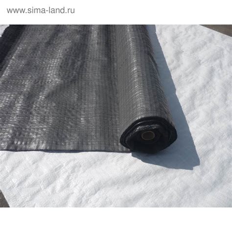 Агроткань застилочная, 100 × 1,6 м, плотность 100 г/м², полипропилен ...