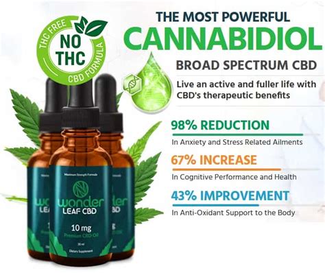 Cbd Oil Types A Comprehensive Guide To Understanding The Differences