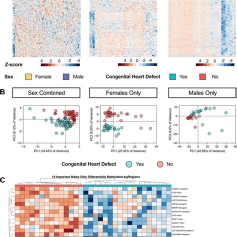 DMR Profiles Of CHD Versus Non CHD In Sex Combined Females Only And Download Scientific