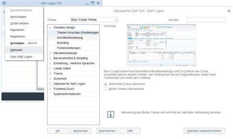 Belize Theme In Sap Gui Übersicht Änderung Und Deaktivieren Anwendungen
