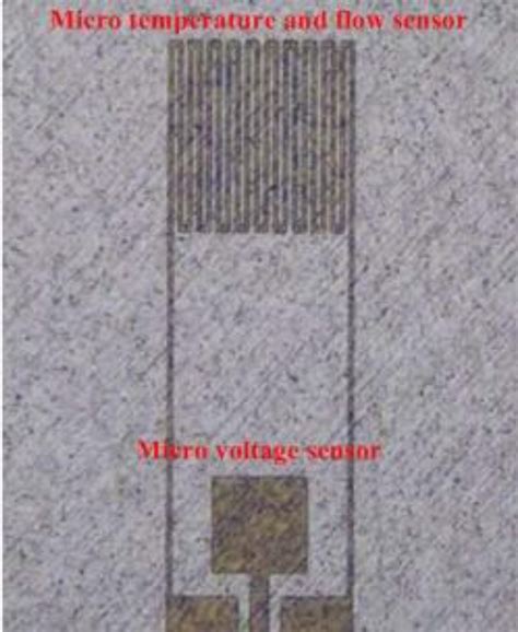 Use Of Multi Functional Flexible Micro Sensors For In Situ Measurement Of Temperature Voltage
