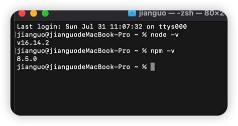Typescript安装 云社区 华为云