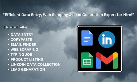 Do Efficient Data Entry Virtual Assistant Services By Polipolin Fiverr