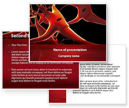 Nervous System PowerPoint Template PoweredTemplate Backgrounds Masters Slides