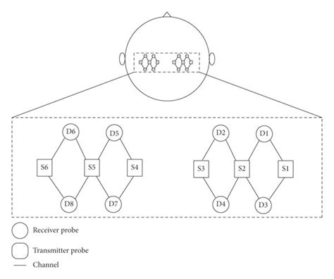 A Schematic Diagram Of Layout Of The Fnirs Signal Acquisition Probe