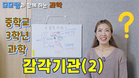 🀄중학교 3학년 과학 ㅣ감각기관 ㅣ청각 후각 미각 피부감각ㅣ모모쌤과 함께하는 과학공부📖 Youtube